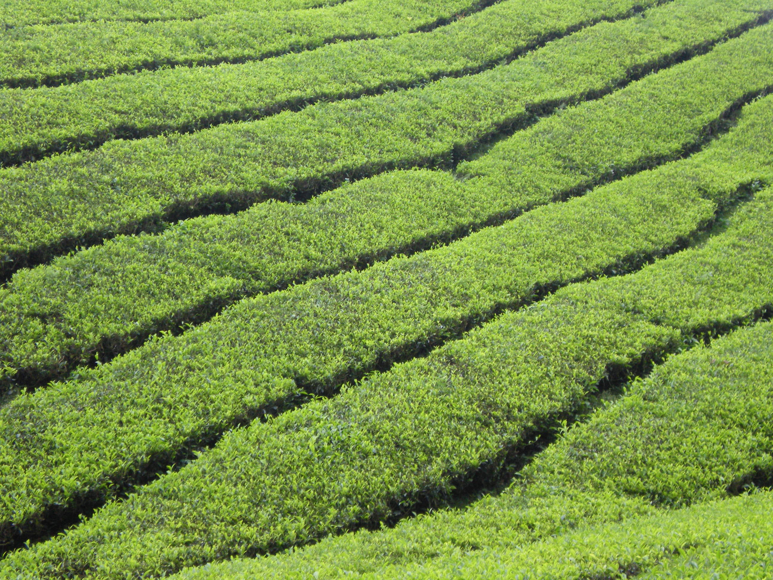 June 2008 – Charon's activity.log