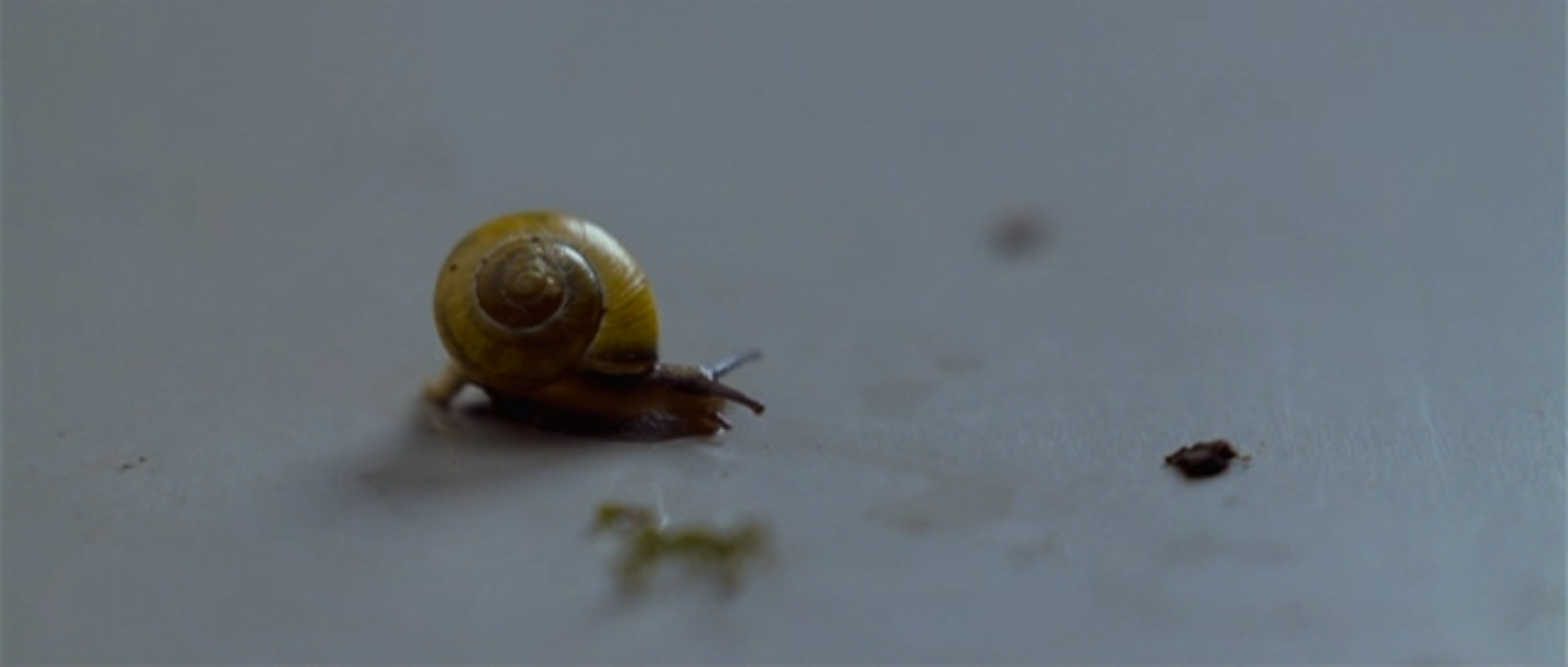 October 2011 – Charon's activity.log